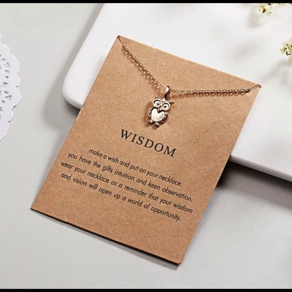 Jewelry | Owl Wisdom Necklace | Poshmark